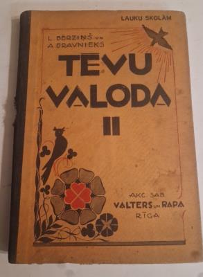 Tēvu valoda - Ludis Bērziņš - iBook.lv - Grāmatu draugs